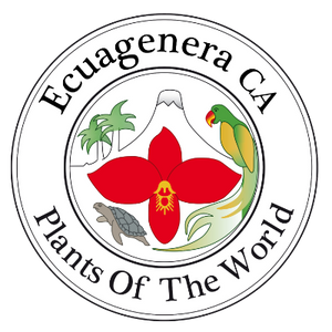 Ecuagenera California